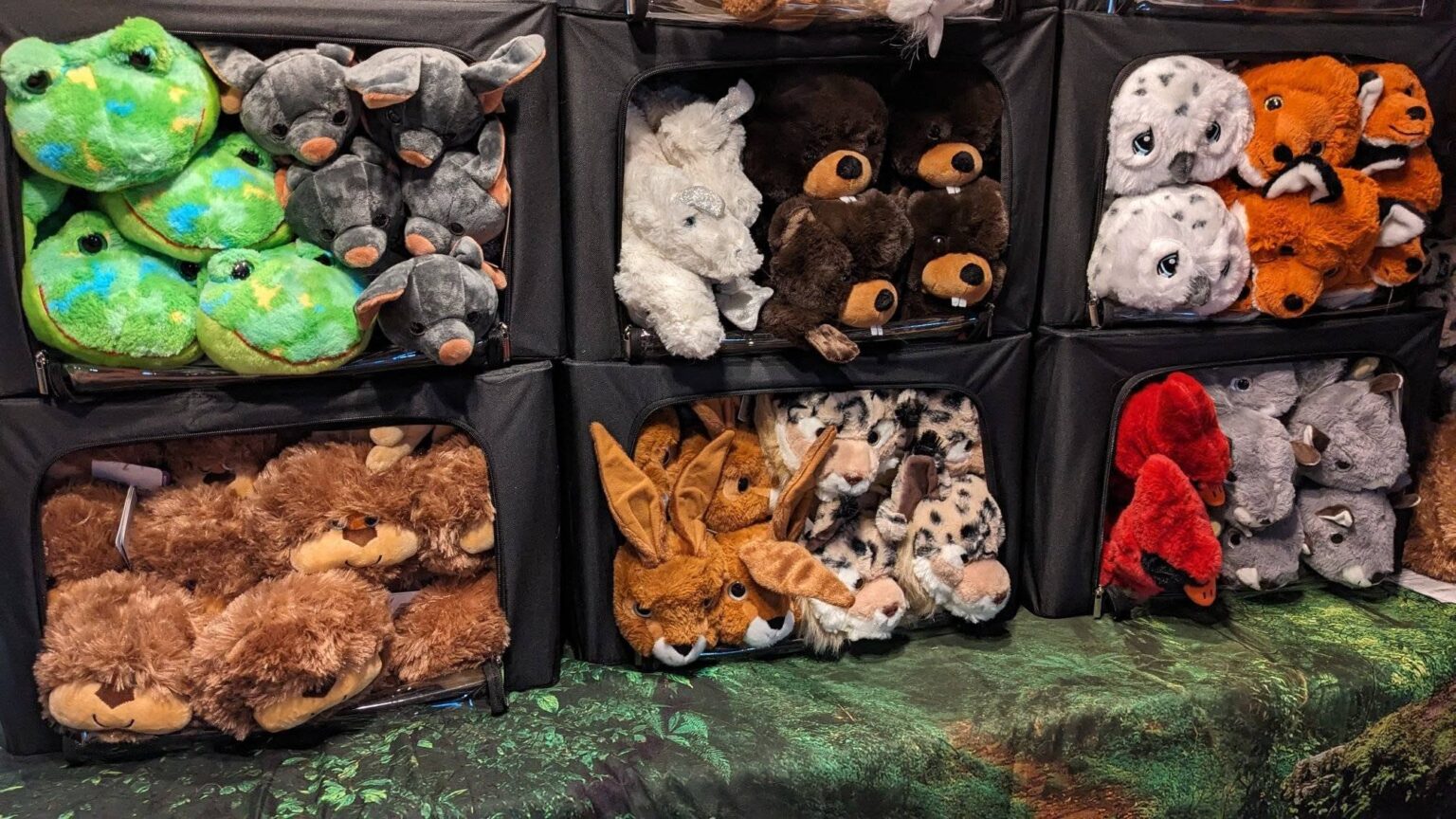 Pawsome Pastimes – Wildlife Parties & Entertainment – Ohio wildlife ...